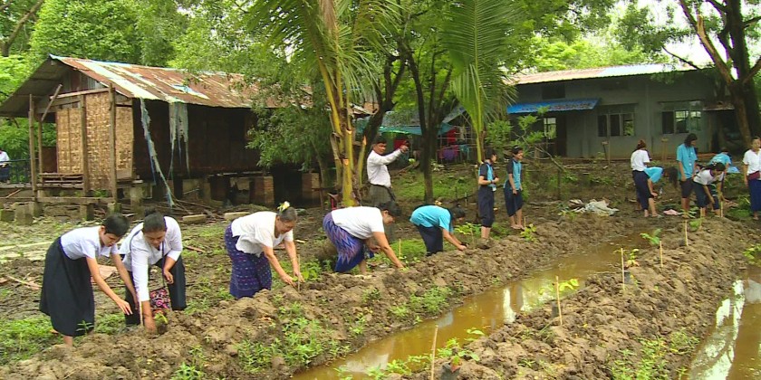 Tree planting activities: Myanmar Christian Fellowship of the Blinds | Myanmar International TV